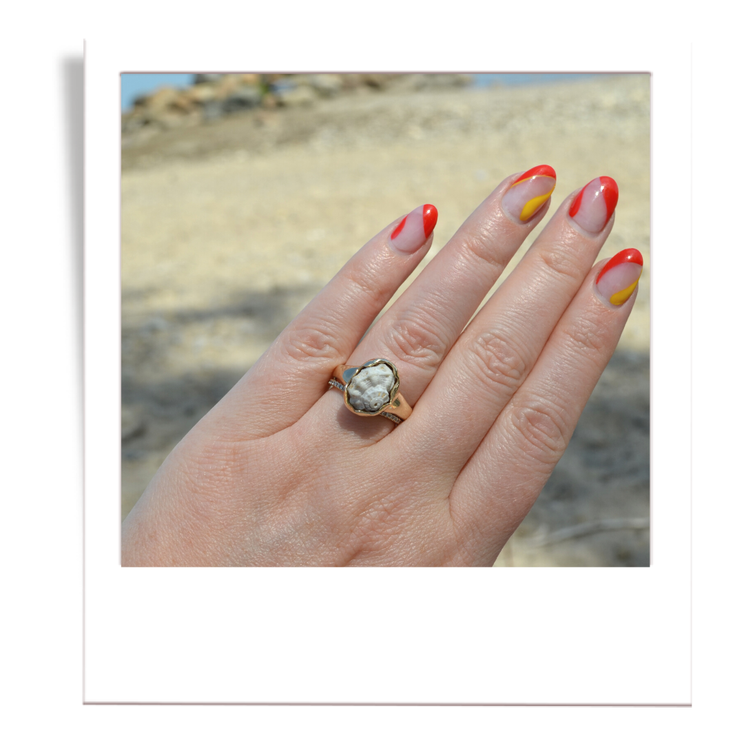 nautilus ring – TokenGold